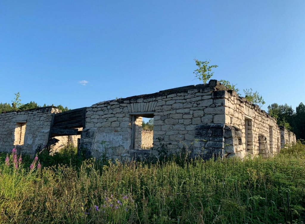 Turistik yerler усадьба Владимирских Каменник, Vologodskaya oblastı, foto