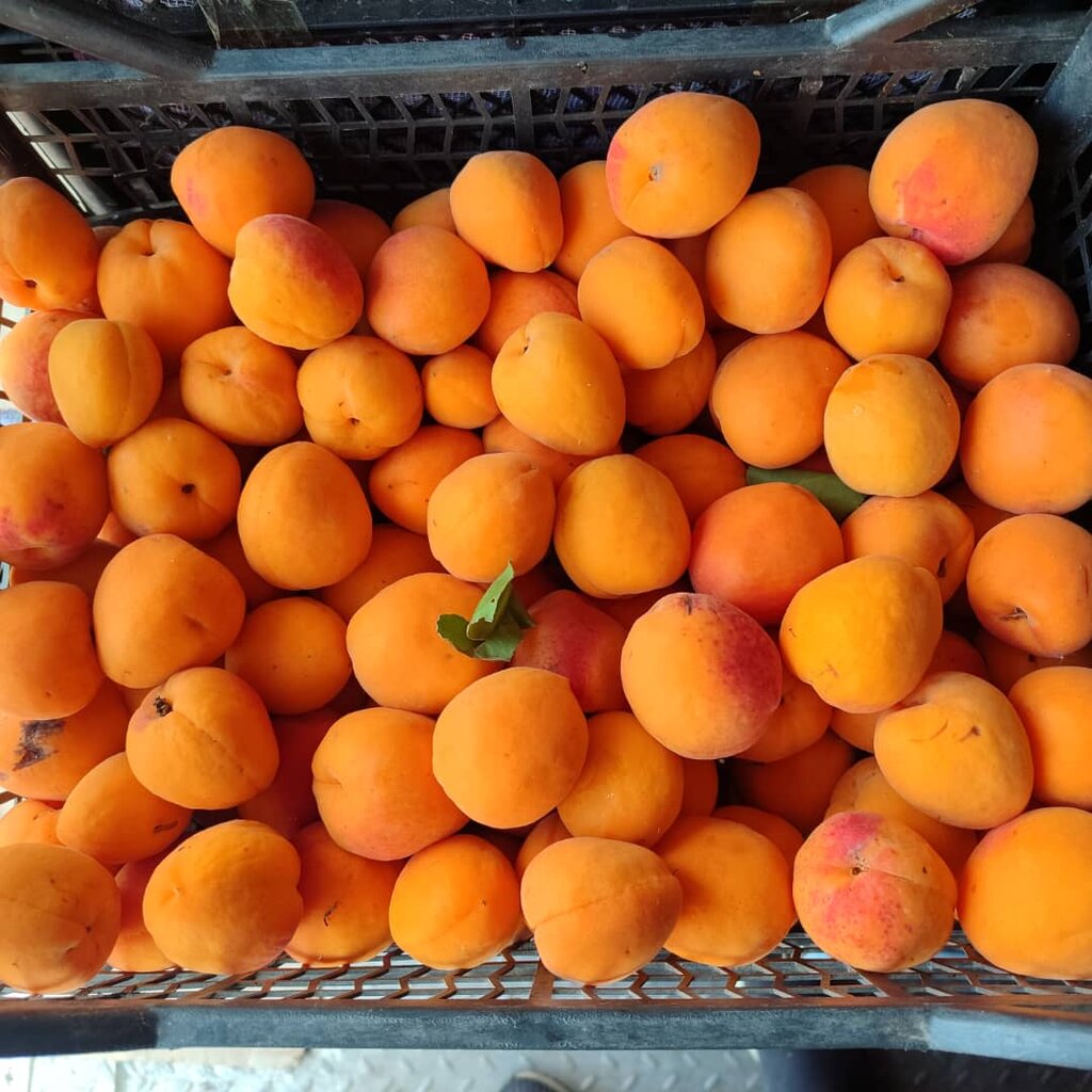 Manavlar Fruit and Vegetable Store, Kökşetav, foto