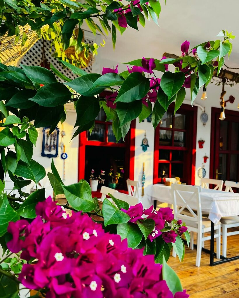 Kafe By Limos, Ula, foto