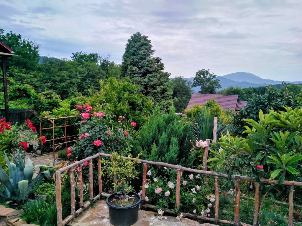 Konuk evi Каньон Псахо, Soçi, foto