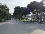 Skuter prokata (Baku, Neftchilar Avenue), scooter kiralama  Bakü'den
