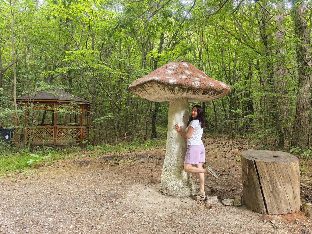 Turistik yerler Грибок, Kırım Cumhuriyeti, foto