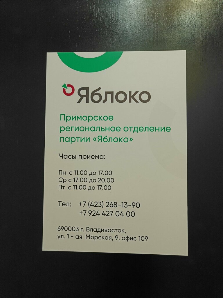 Siyasi partiler Яблоко, Vladivostok, foto