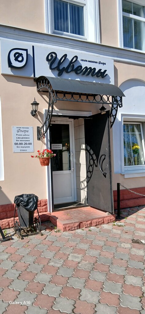 Çiçekçiler Флора, Sudogda, foto