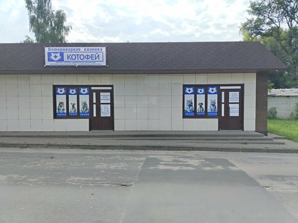 Veteriner klinikleri Котофей, Klintsy, foto