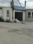 Антикор центр Сталь (Delovaya Street No:2Б), otomobil servisi  Nijni Novgorod'dan