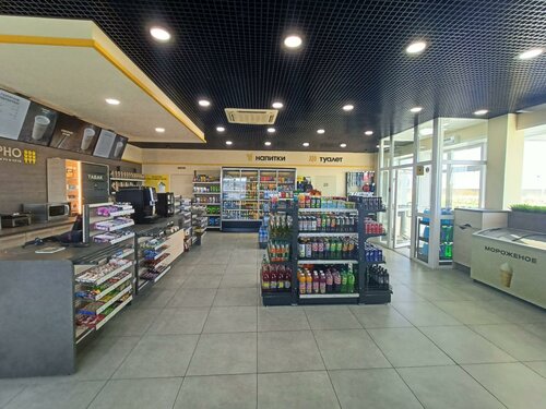 Benzin istasyonu Rosneft', Altayski krayı, foto