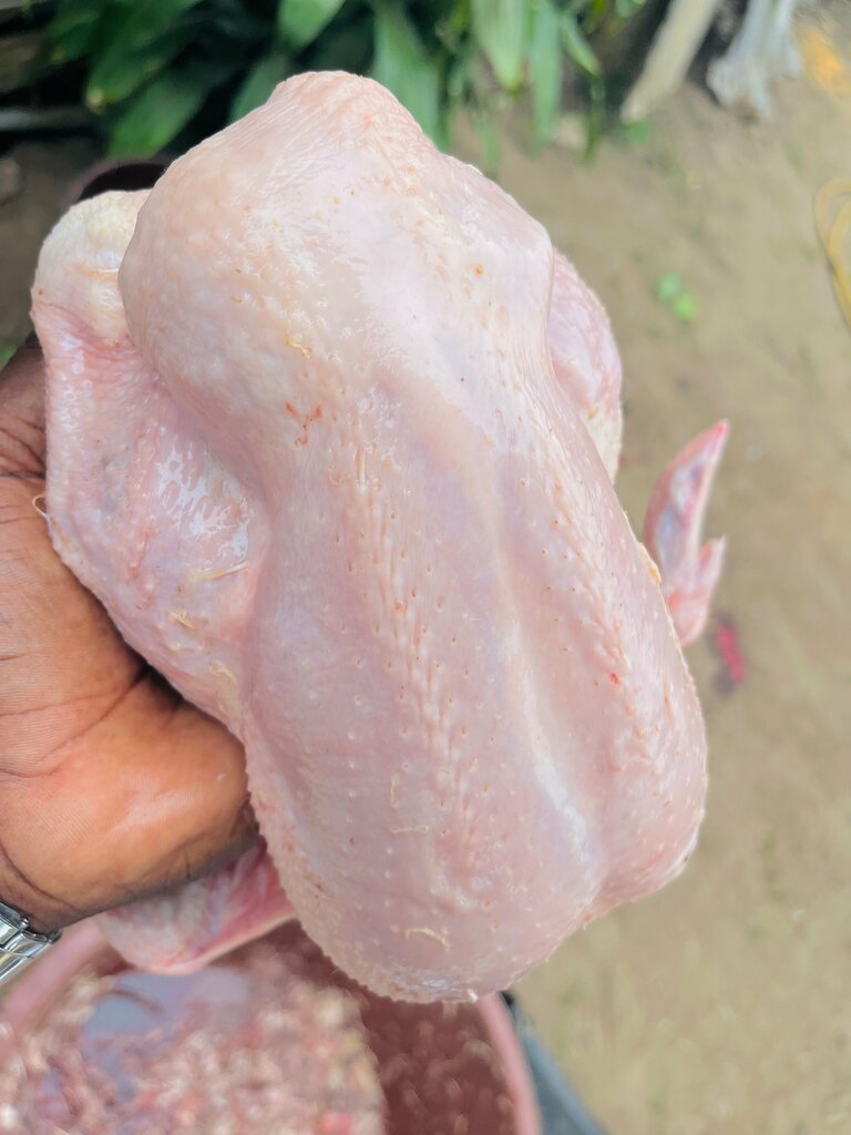 Market Poultry of the Mé, , foto