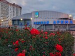Ледовое поколение (ulitsa Zelenina No:4), çok amaçlı spor tesisleri  Orel'den