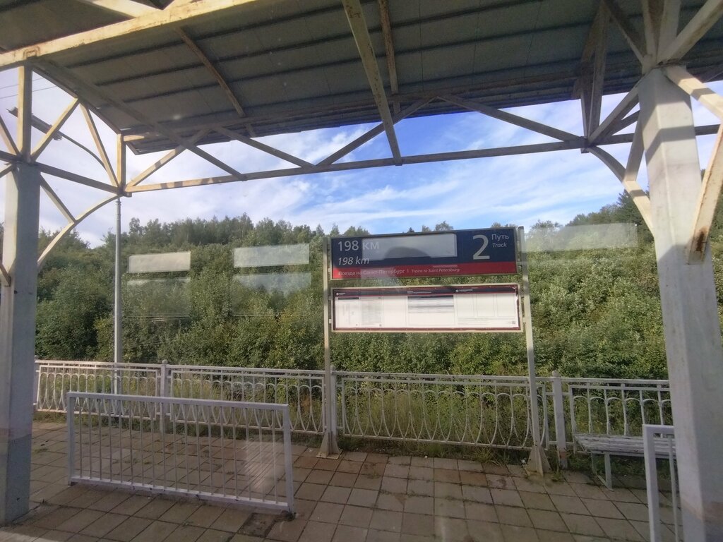 Tren istasyonu 198 км, Novgorodskaya oblastı, foto