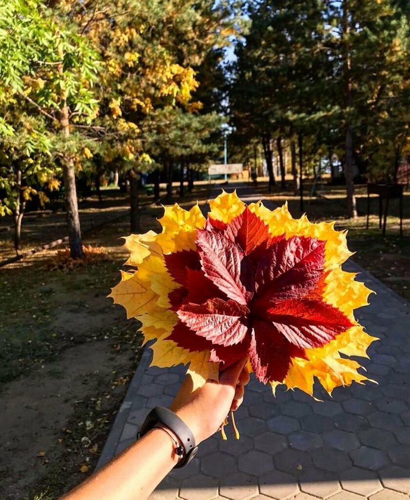 Plaj Tb Neptun, Kostanay eyaleti, foto