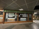 Национальные движения Болгарского туристического союза (Sofia, ulitsa Generala Gurko), geziler  Sofya'dan