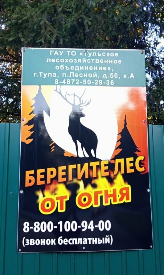Kerestecilik, ağaç satışı Gau To Tulskoye lesokhozyaystvennoye obyedineniye, Tulskaya oblastı, foto