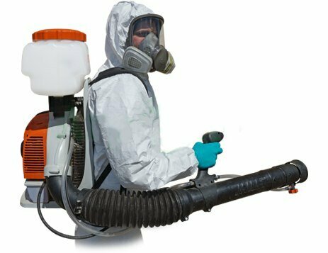 Haşere ilaçlama firmaları Санитарная Служба Сион, Berdsk, foto