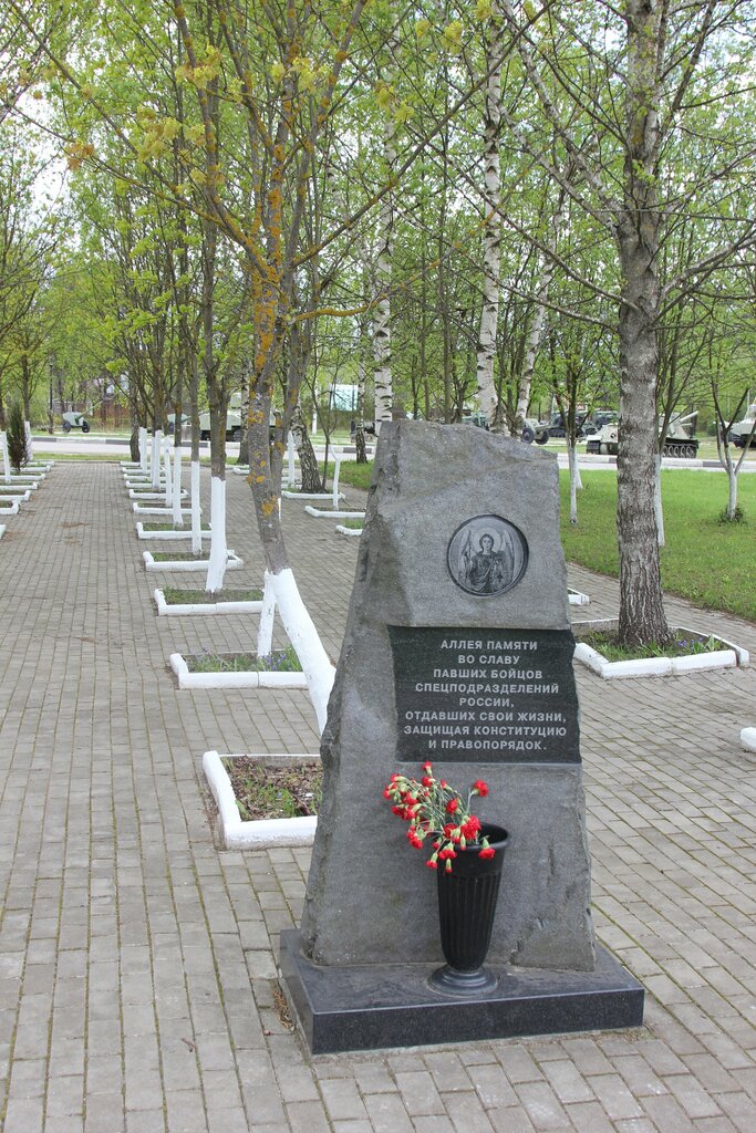 Anıt levhası, anıt taş Аллея памяти, Moskova ve Moskovskaya oblastı, foto