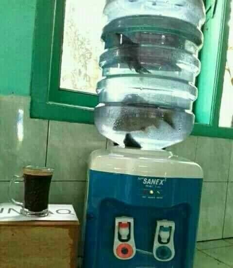 Ortaokul Школа, Moskova ve Moskovskaya oblastı, foto