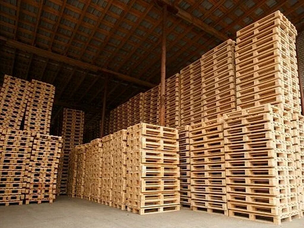 Paletler Р-Тех, Tambovskaya oblastı, foto