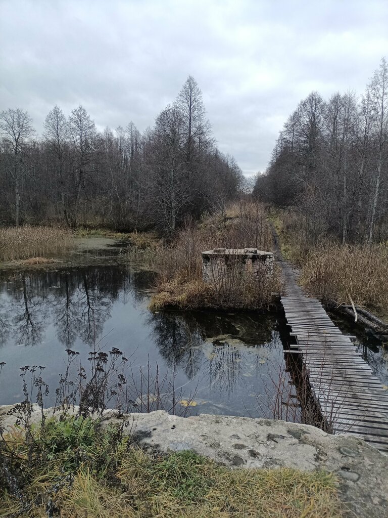 Turistik yerler Мост узкоколейной железной дороги, İvanovskaya oblastı, foto