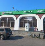 Семейная оптика (Oraniyenbaumskiy Avenue No:39Б), optik  Lomonosov'dan