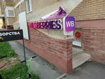Wildberries (Startovaya ulitsa No:6к1), teslimat noktası  Cheboksary'den