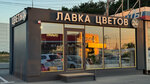 Лавка Цветов (Taymyrskaya ulitsa No:34, khutor Kamyshevakha), çiçekçiler  Rostovskaya oblastından