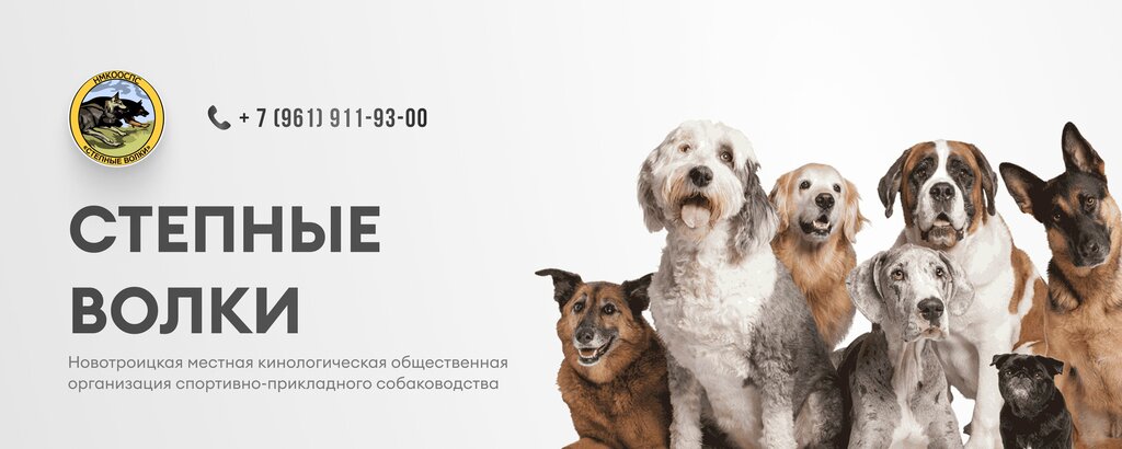 Sivil toplum kuruluşları Степные волки, Novotroitsk, foto