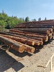 Пилорама Леспром Юг (Melikhovskaya ulitsa No:1М), kereste üretim ve satış şirketleri  Şahty'den