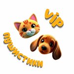 VIP Pychistiki (Vysokovsk, ulitsa Vladykina, 18), pet salon  Vysokovsk'tan