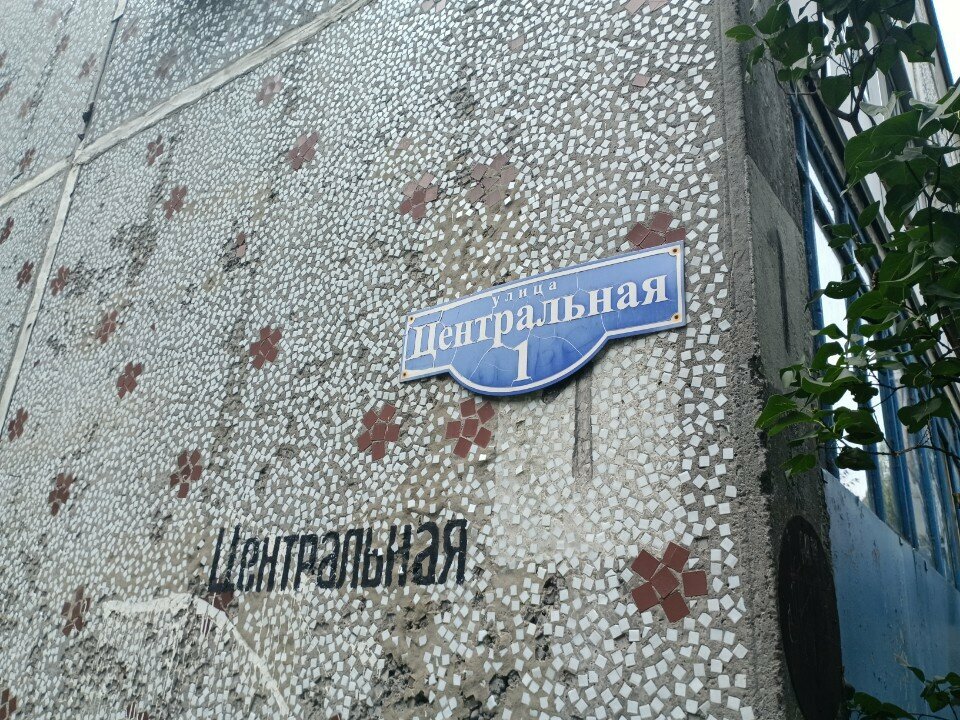 Sivil toplum kuruluşları Komitet territorialnogo obshchestvennogo samoupravleniya, Omsk, foto