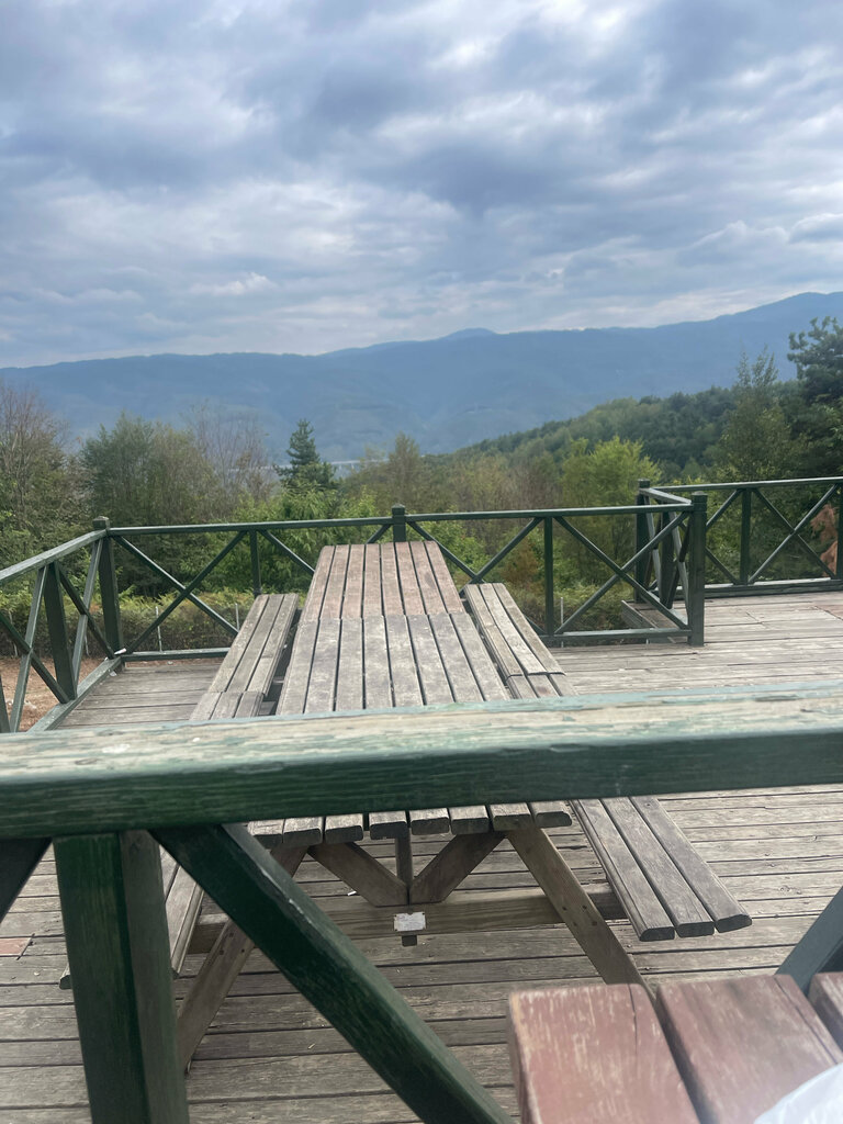 Kültür ve eğlence parkları Gırgın Çayırı Mesire Alanı, Kaynaşlı, foto