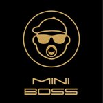 Mini Boss (Mira Street No:37), çocuk arabası  Perm'den