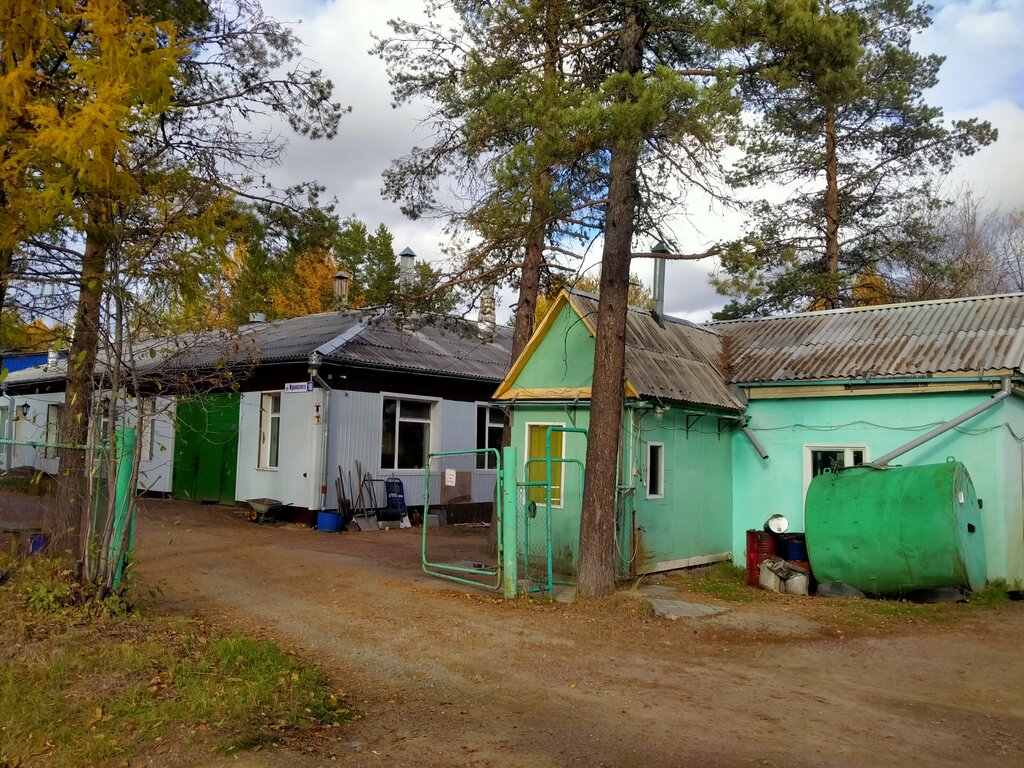 Ekmek fırını Чульманский хлеб, Saha Cumhuriyeti (Yakutistan), foto