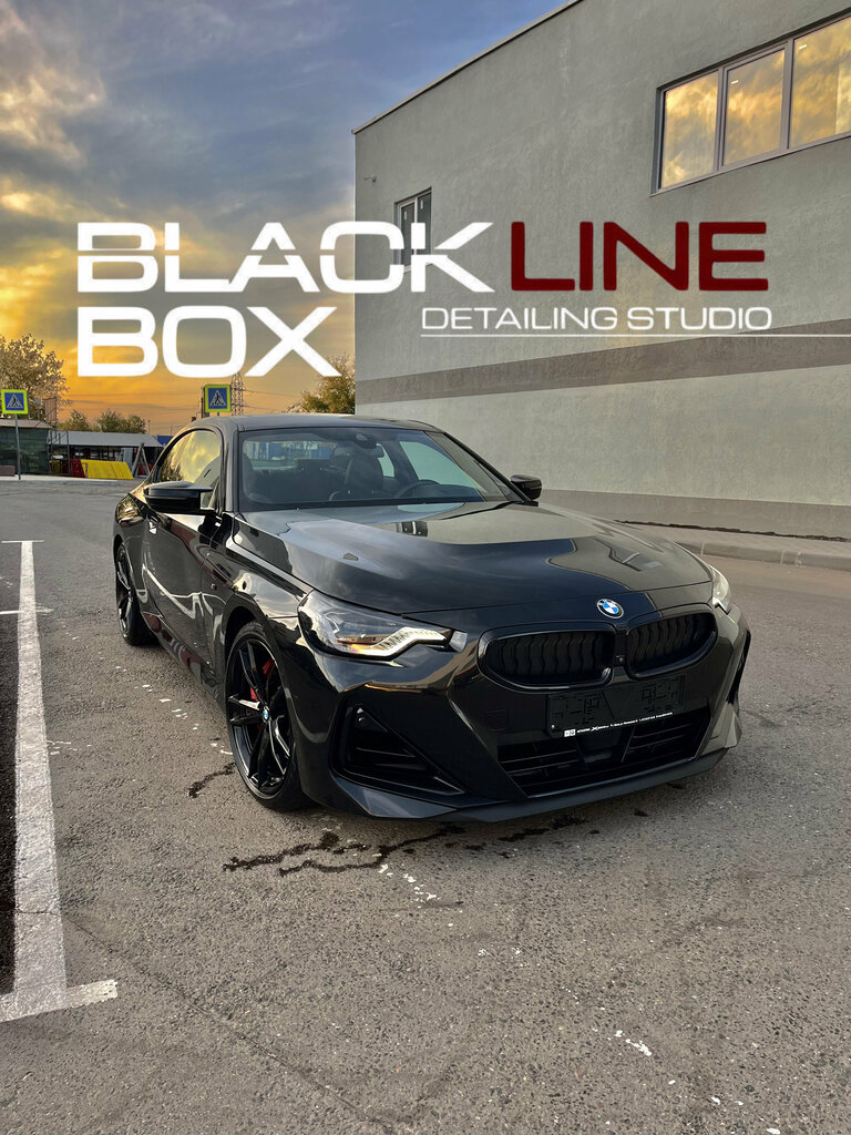 Detaylı oto bakımı BlackLine Box, Podolsk, foto