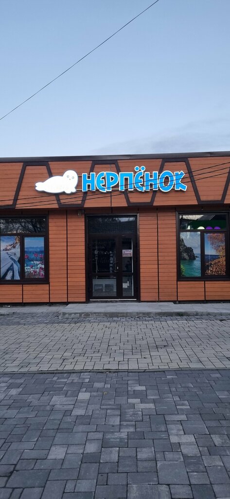 Hediyelik eşya mağazaları Нерпёнок, Baykalsk, foto