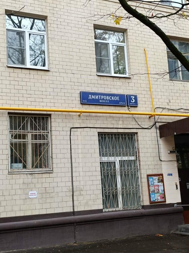 Anaokulları Домашний детский садик, Moskova, foto