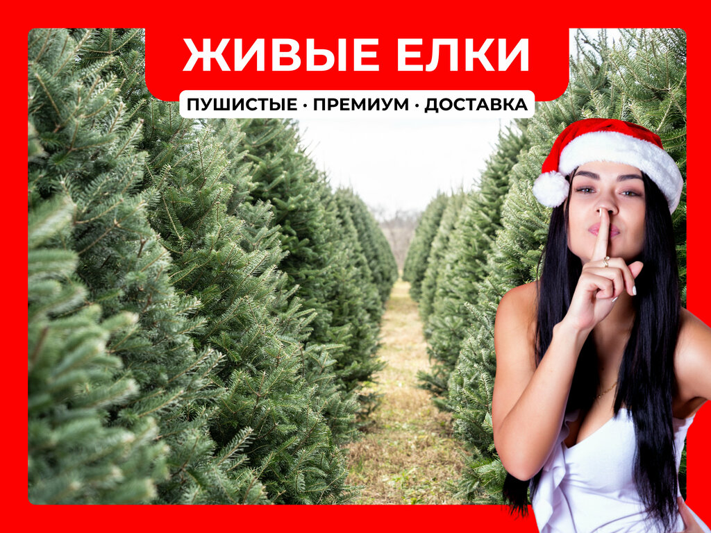 Yapay çam ağaçları ve süsleri DatskayaElka, Vidnoye, foto