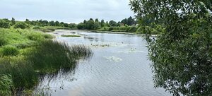 Пляж (Smolenskiy munitsipalny okrug, Gnyozdovskoye selskoye poseleniye), plaj  Smolenskaya oblastından