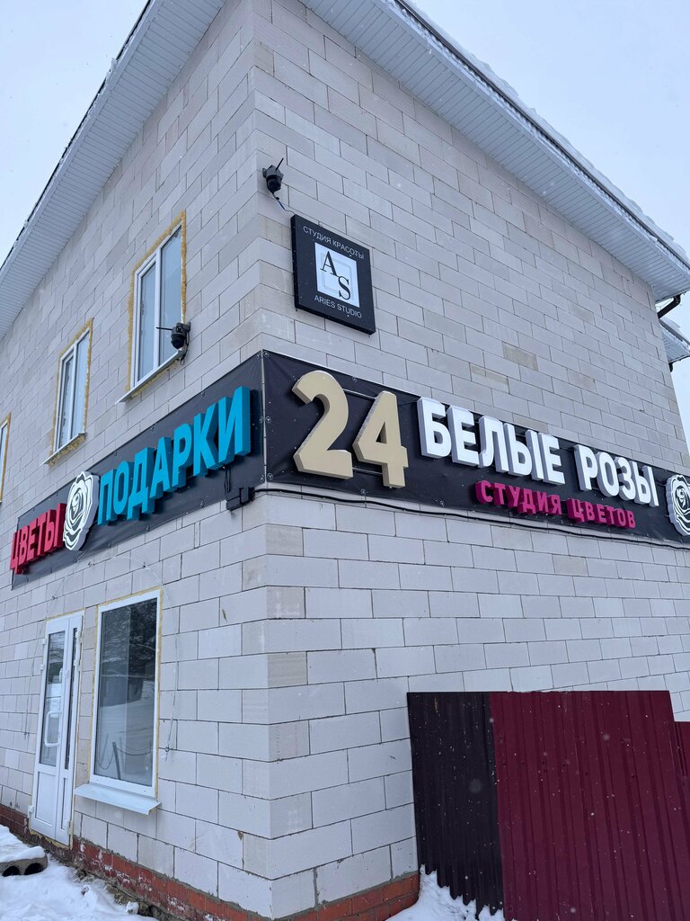 Güzellik salonu Aries studio, Mordovya, foto