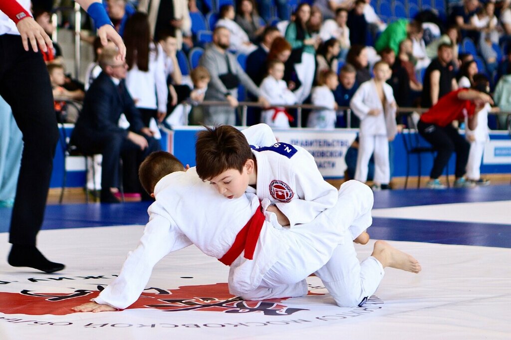 Spor kulüpleri Федерация джиу-джитсу, Sevastopol, foto