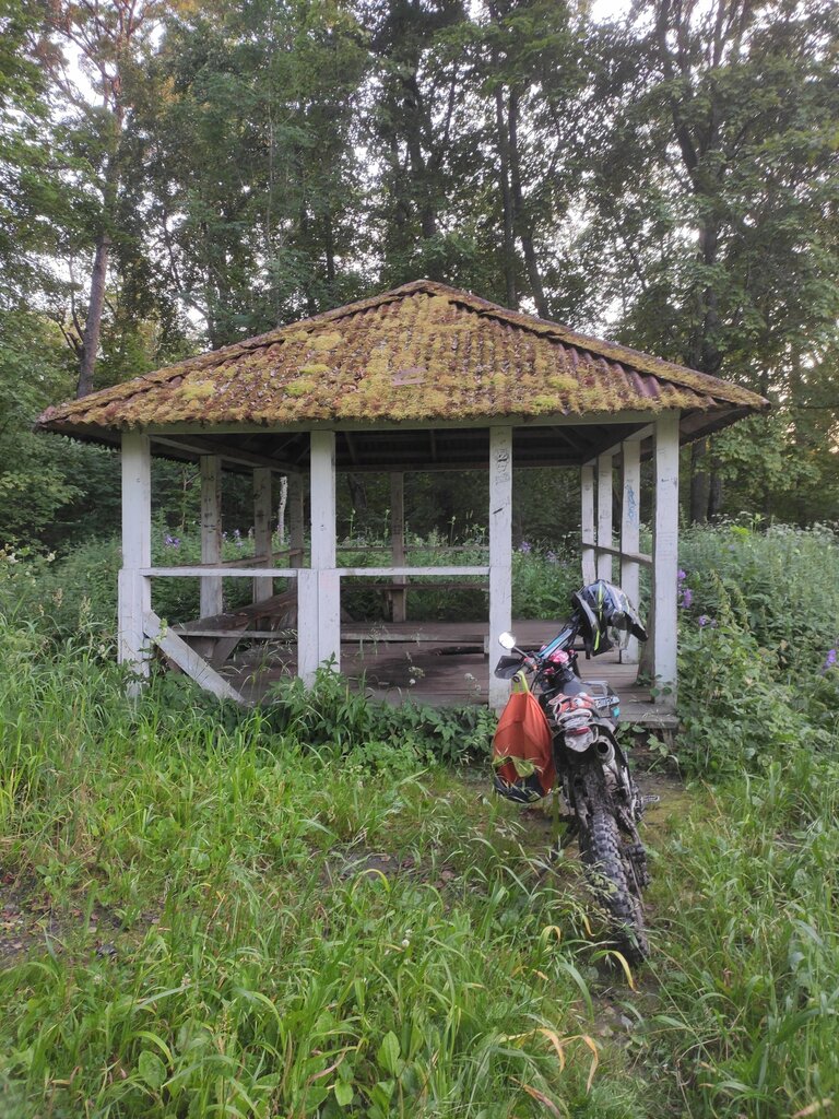 Çardak Gazebo, Saint‑Petersburg ve Leningradskaya oblastı, foto