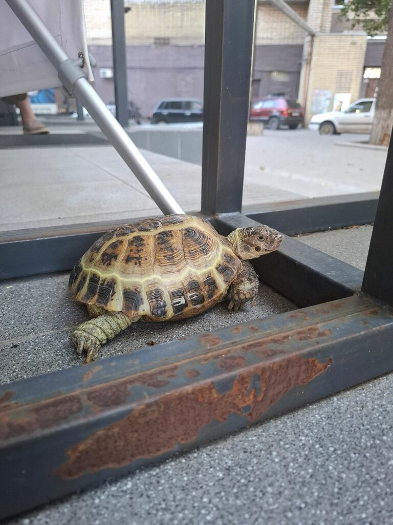 i̇ş merkezi Dostar, Karağandı, foto