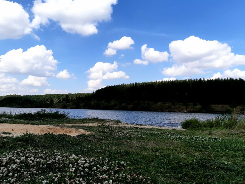 Plaj Пляж, Lipetskaya oblastı, foto