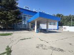 Книжный магазин (Polbina Street No:48), gazete bayi  Ulyanovsk'tan