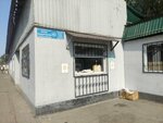 Ice cream (Latıf Qydyrbekov kóshesi No:43, Nauryzbai City Administrative District, Qalqaman-2 shaǵyn aýdany), dondurmacılar  Almatı'dan