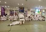 Aiki Dojo - Aikido Yalova (Yalova, Yalova Merkez, Cumhuriyet Cad., 33), spor kulüpleri  Yalova'dan