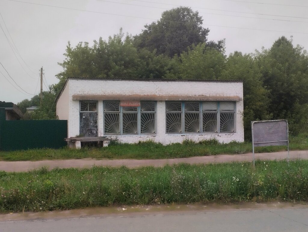 Mini-market Смешанные товары, Riazanskaya oblastı, foto