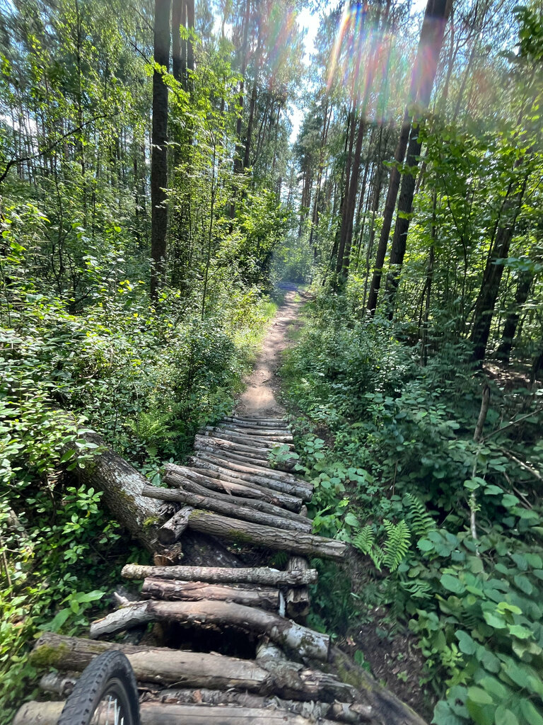 Motosiklet pisti MTB-трасса Трасса 62, Minskaya oblastı, foto