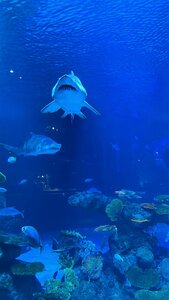 Aquaria Phuket (Phuket, Kathu, Kathu, Wichit Songkhram Road, 74-75), akvaryumlar