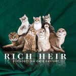 Rich Heir (ulitsa Metallurgov No:6), evcil hayvan yetiştiricileri  Pervouralsk'tan