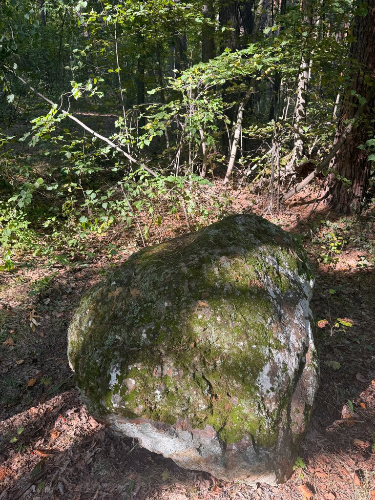 Dağ zirvesi Гора Башмак 263 метра, Penzenskaya oblastı, foto